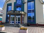 Eshka (Pionerskaya ulitsa No:10А), bar  Muravlenko'dan