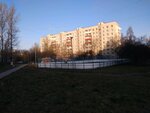 Sports ground (Moscow, Yuzhniy Administrative Okrug, Biryulyovo Zapadnoye District), spor alanı  Moskova'dan
