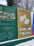 DOL Levkovo (Moscow Region, Pshkinskiy Urban District, selskoye poseleniye Tsaryovskoye), yaz kampı  Moskova ve Moskovskaya oblastından