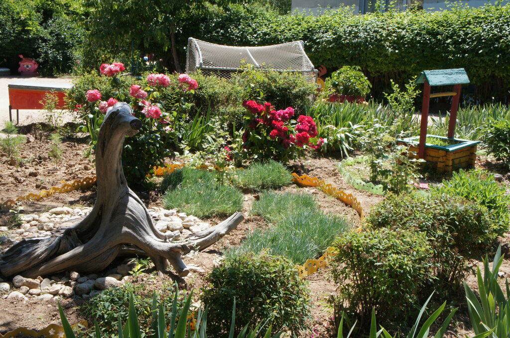 Anaokulları Gbdou Detsky sad № 125, Sevastopol, foto