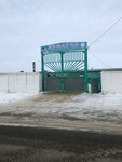 Chaynaya u Elviny (Kolkhoznaya ulitsa No:43А), pazarlar ve çarşılar  Buinsk'ten (Bua'dan)