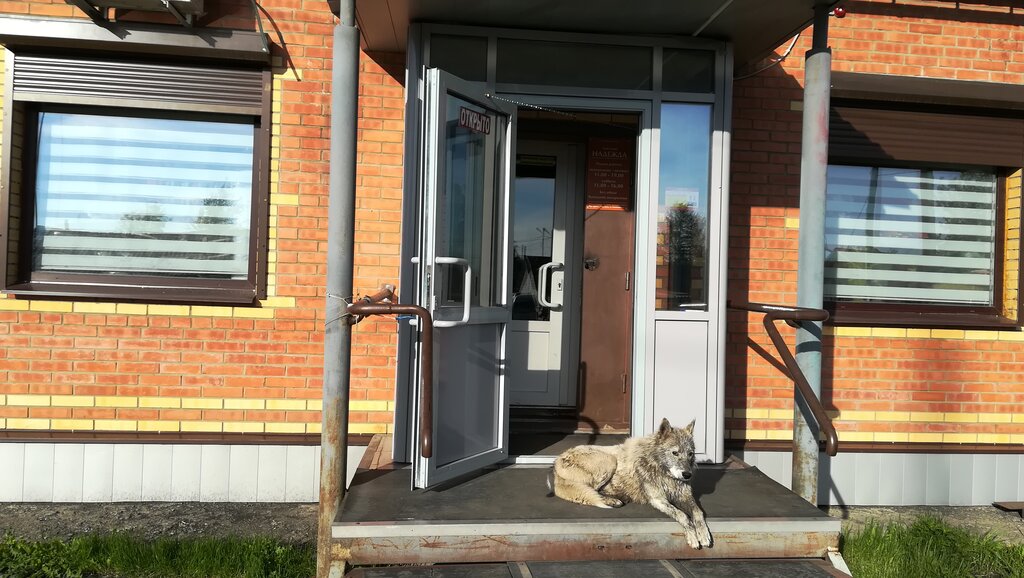 Giyim mağazası Надежда, Krasnoyarski krayı, foto