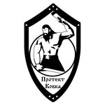 Protekt Kovka (gorodskoy okrug Voronezh, Sovetskiy District), demirdökümcüler  Voronej'den
