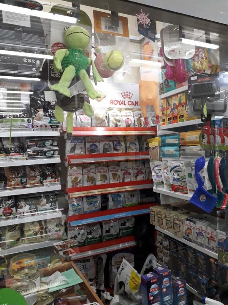 Petshop Richard, Kazan, foto