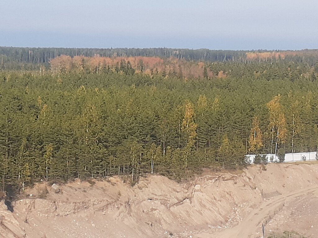 Atık depolama alanı Полигон ТБО, Saint‑Petersburg ve Leningradskaya oblastı, foto