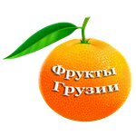 Triptoper (Shalva Dadianis Street No:7), turizm acenteleri  Tiflis'ten