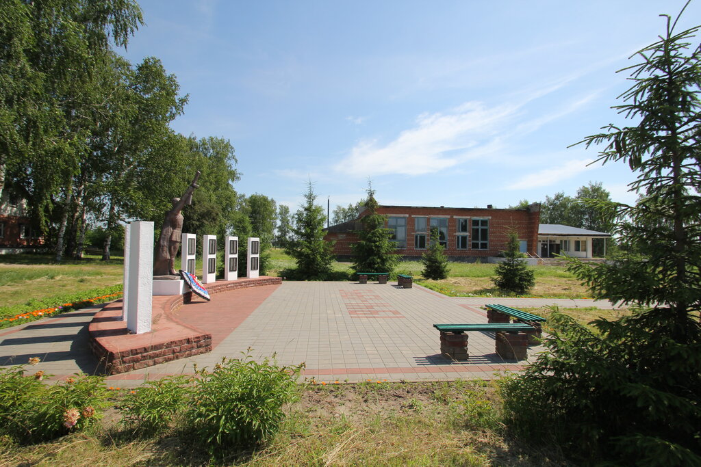 Anıt, heykel Воину-освободителю, Tambovskaya oblastı, foto
