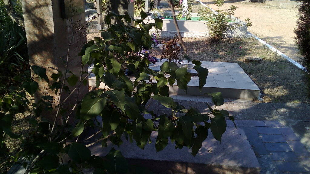 Ünlü kişilerin mezarları Герой Советского Союза В. П. Лаптев, Sevastopol, foto