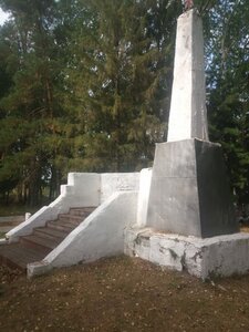 Участникам ВОВ 1941-1945 гг. (Omsk Region, Tevrizskiy rayon, selo Petelino), anıt, heykel  Omskaya oblastından