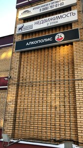 Bar Алкополис 24, Ramenskoye, foto