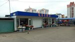 Гомельфлора (Gomiel, Saviecki rajon), çiçekçiler  Gomel'den