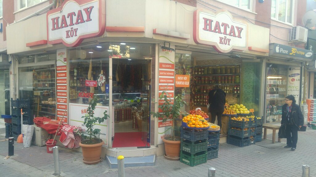 Süt ürünleri satış mağazaları Hatay Köy, İstanbul, foto