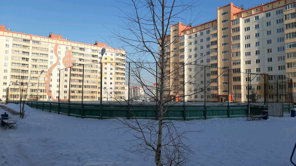 Spor alanı Хоккейная площадка, Novosibirsk, foto