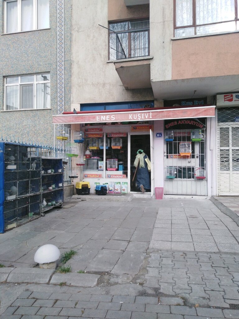 Petshop Enes Kuş Evi Petshop, Ankara, foto
