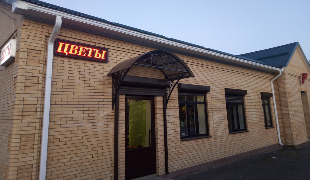 Çiçekçiler Salon Iris, Stavropolski krayı, foto