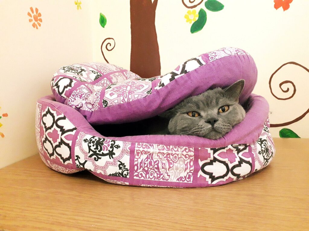Pet otel Mur-mur Holl, Volgogradskaya oblastı, foto