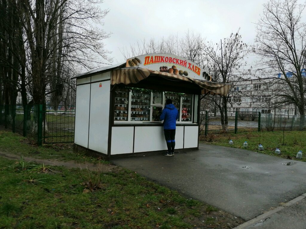 Ekmek fırını Pashkovsky bread, Krasnodar, foto