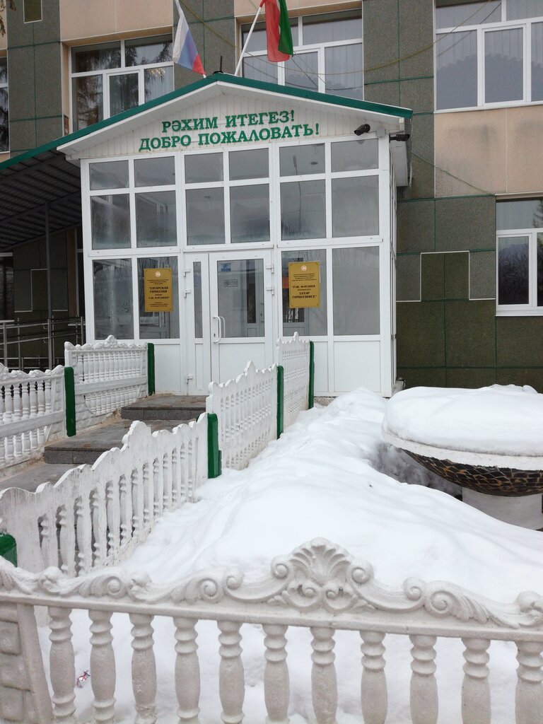 Fen lisesi, sosyal bilimler lisesi Гимназия имени Р.Ш. Фардиева, Zainsk (Zey), foto