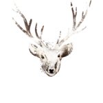 Patronus Trauungen Markus Jonsthövel - Trauredner Kaarst (North Rhine-Westphalia, Rhein-Kreis Neuss, Hasselstraße, 33), etkinlik organizasyonu  Kaarst'tan