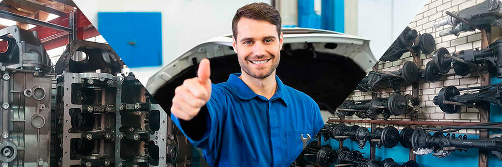 Otomobil yedek parçaları Sfera Zapchastey, Balaşiha, foto