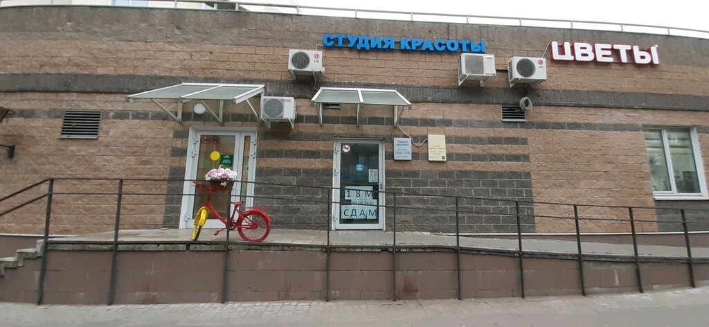 Güzellik salonu Funny fox, Moskova, foto