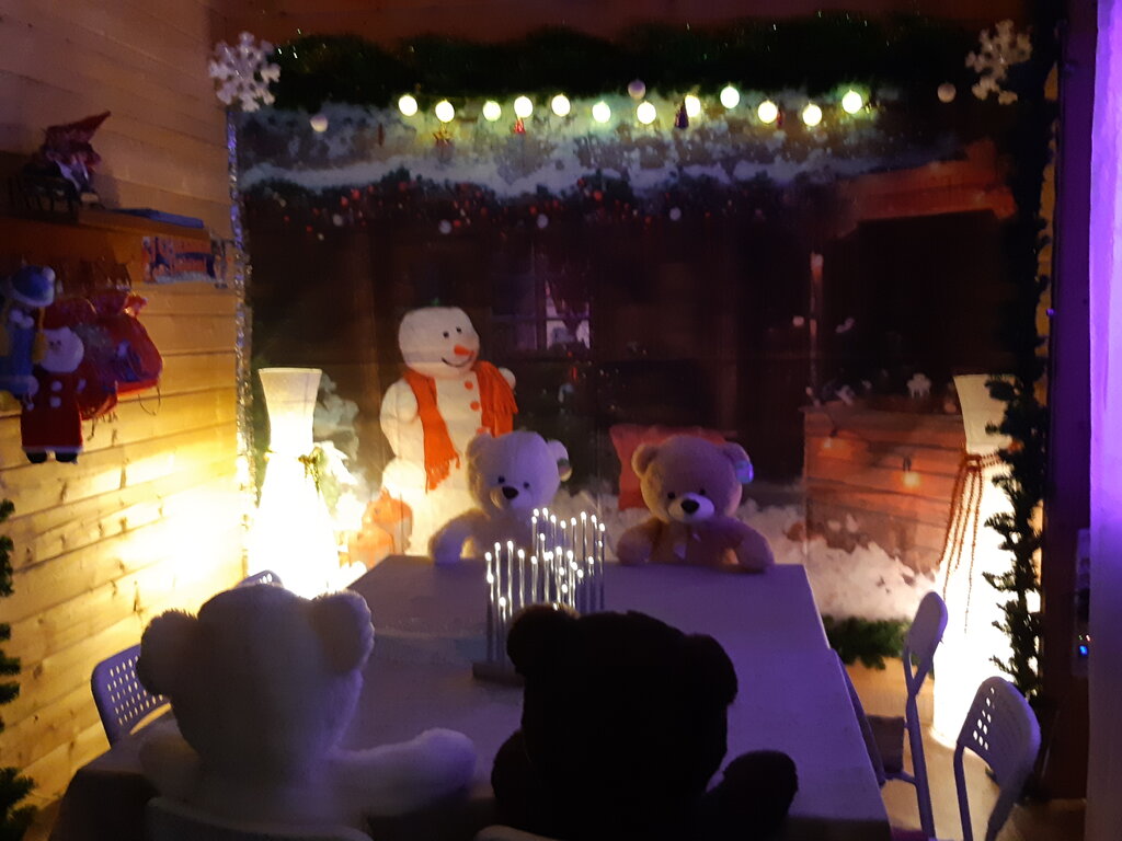 Çocuklar için kutlama organizasyonları Весёлая ферма, Kandalaksha, foto