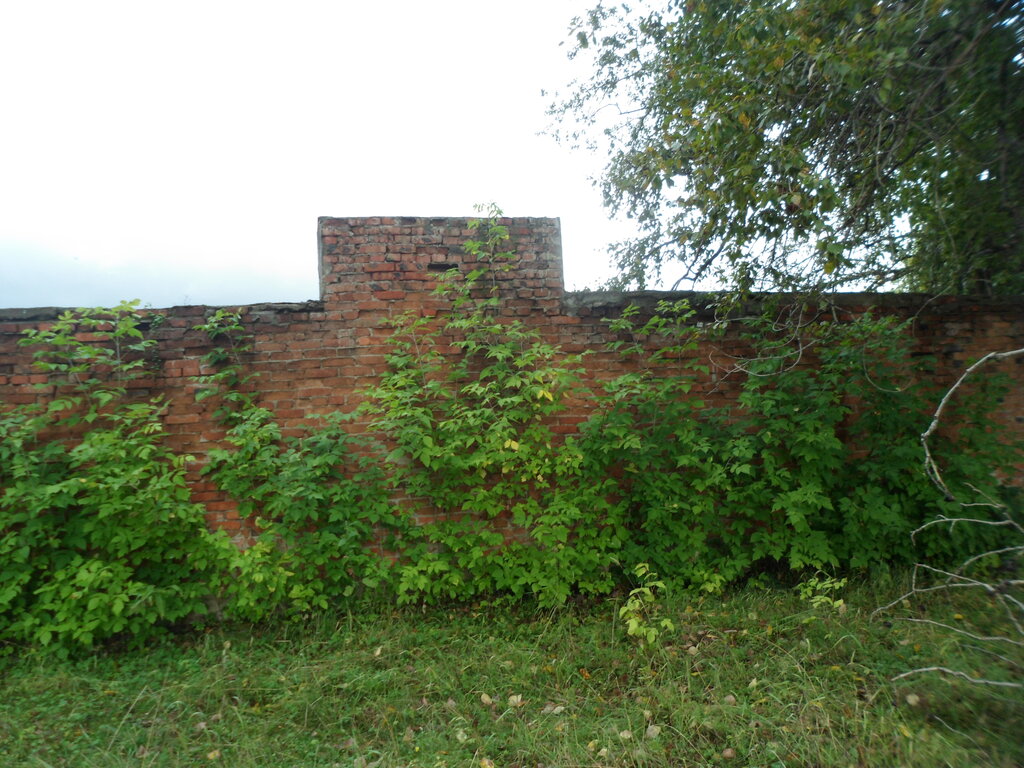 Anıt, heykel Воинам, павшим в годы Великой Отечественной войны, Omskaya oblastı, foto