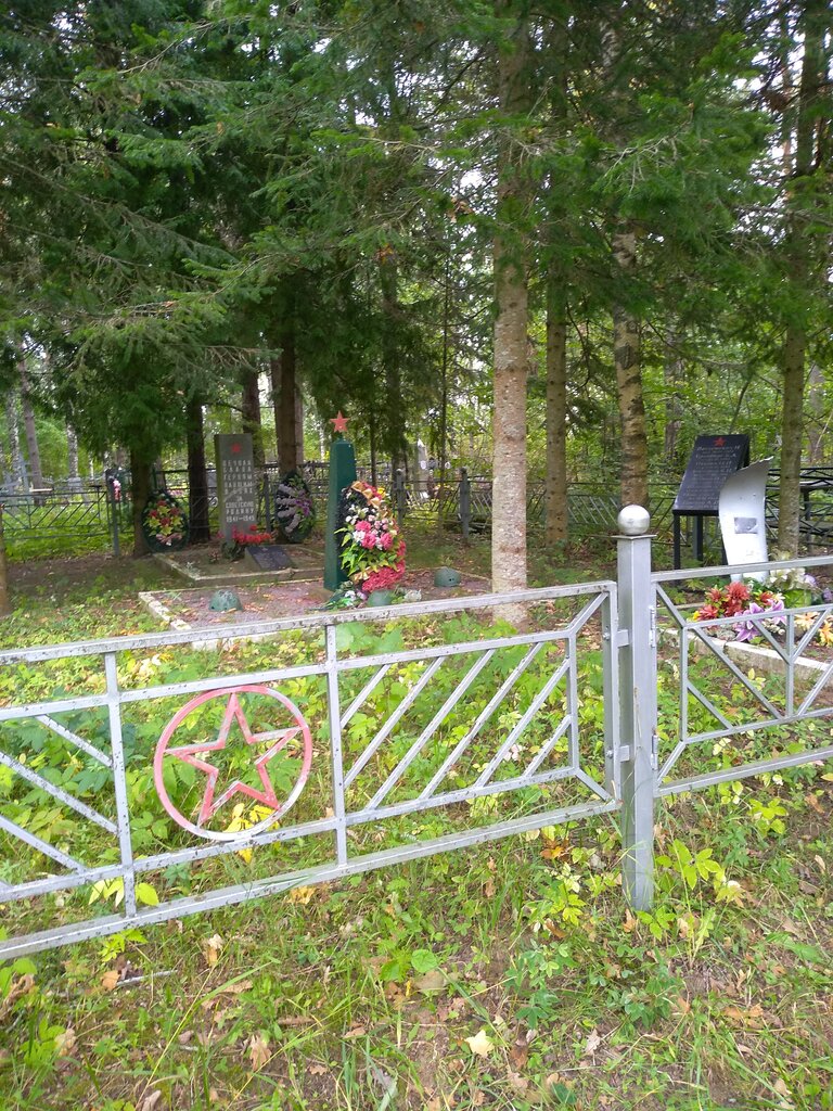 Anıt, heykel Погибшим в Великой Отечественной войне 1941-1945 гг., Saint‑Petersburg ve Leningradskaya oblastı, foto