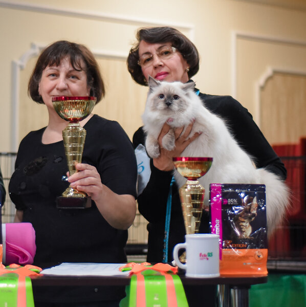 Hayvanat bahçesi merkezi Felis, Moskova, foto