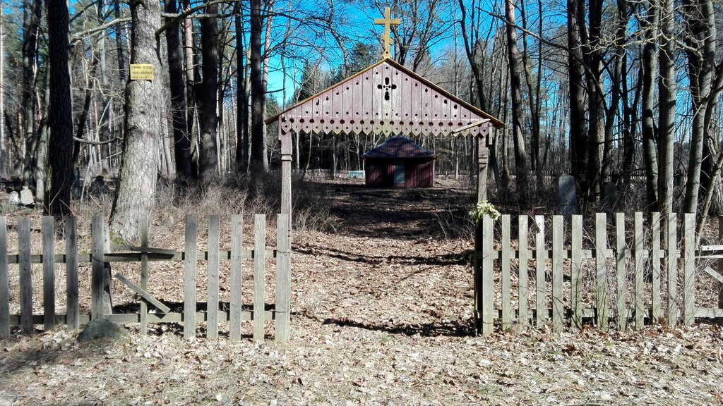 Mezarlıklar кладбище Заборье, Minskaya oblastı, foto