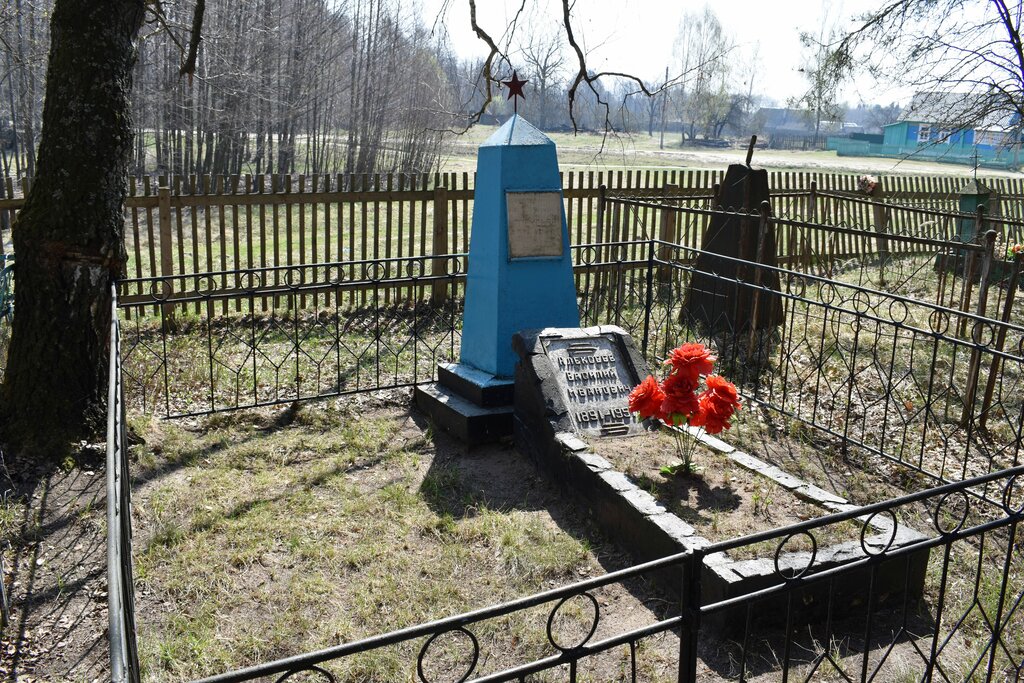 Ünlü kişilerin mezarları Командир Бытошской партизанской бригады В.И. Алексеев, Brianskaya oblastı, foto