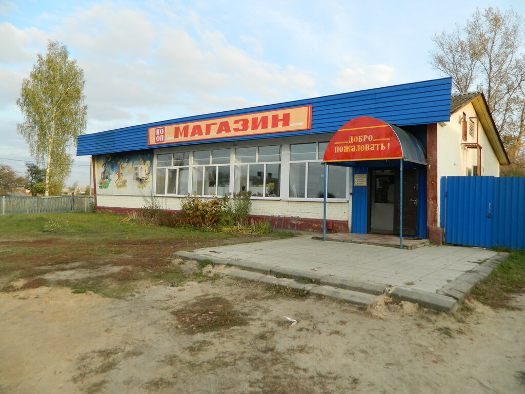 Mini-market Смешанные товары, Brianskaya oblastı, foto