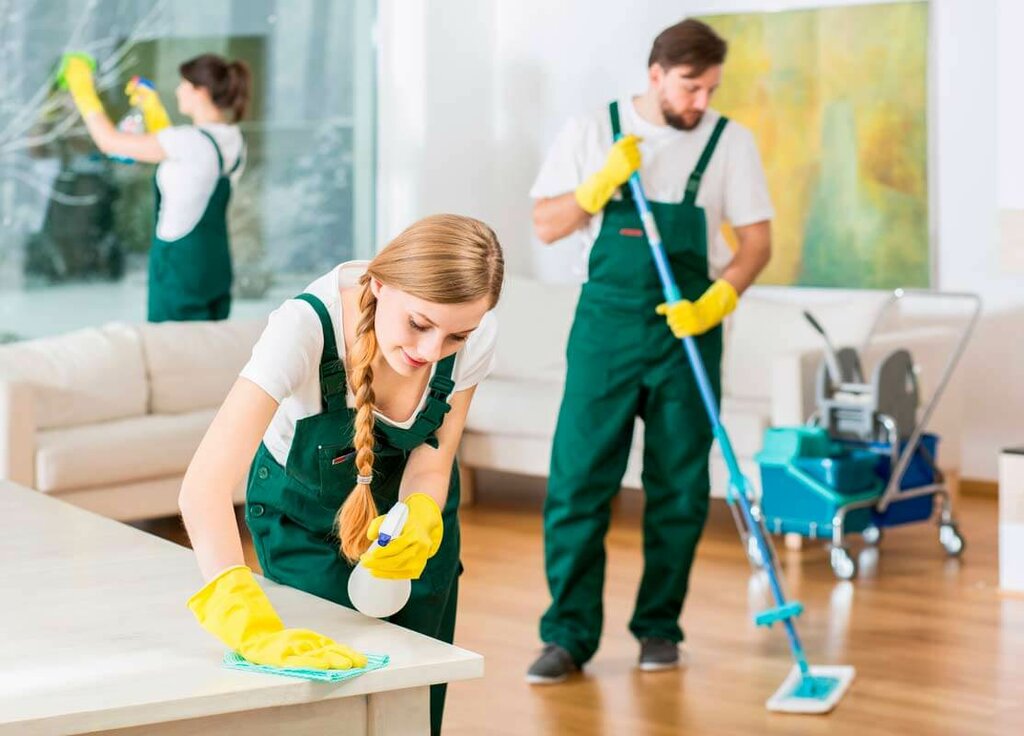 Temizlik şirketleri V&i Cleaning House, Solneçnogorsk, foto