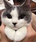 Тяговая подстанция № 1А (Staronikitskaya Street No:7А, Tula), ulaşım altyapısı  Tula'dan