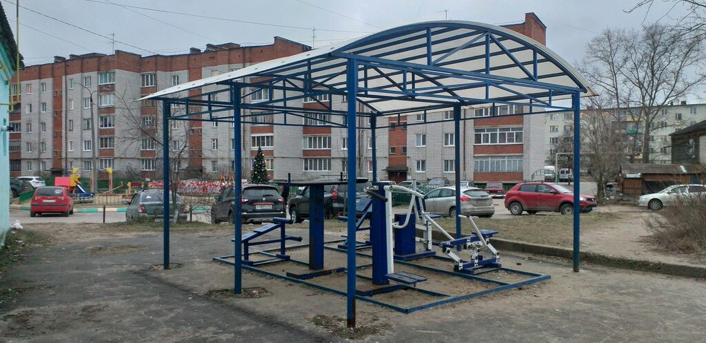 Spor alanı Уличные тренажеры, Vladimir, foto