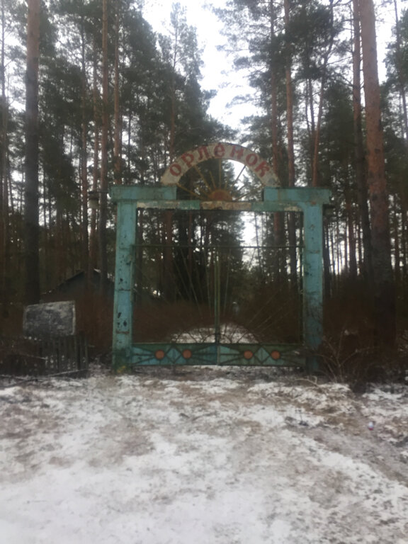 Yaz kampı Пионерский лагерь Орлёнок, Brianskaya oblastı, foto