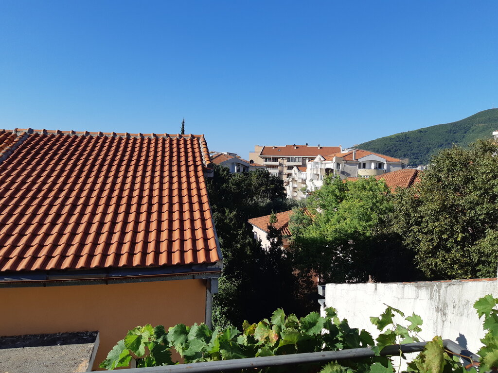 Otel Guest House Damjana, Dünya, foto