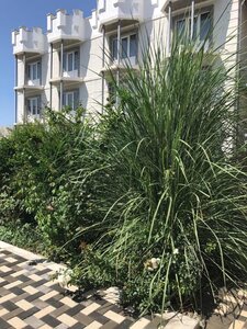 Бельведер (Южнобережный переулок No:110), otel  Sudak'tan