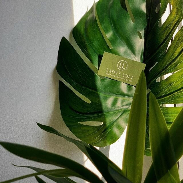 Kaş ve kirpik salonu Lady's loft, Saint‑Petersburg, foto