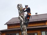 Spil i obrezka derevyev (Stepnaya ulitsa No:6), şehir planlama  Ipatovo'dan