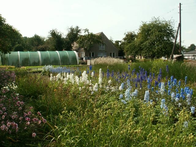 Peyzaj tasarımı Floragarten Weinreich Inh. Jan Weinreich, Saksonya‑Anhalt, foto