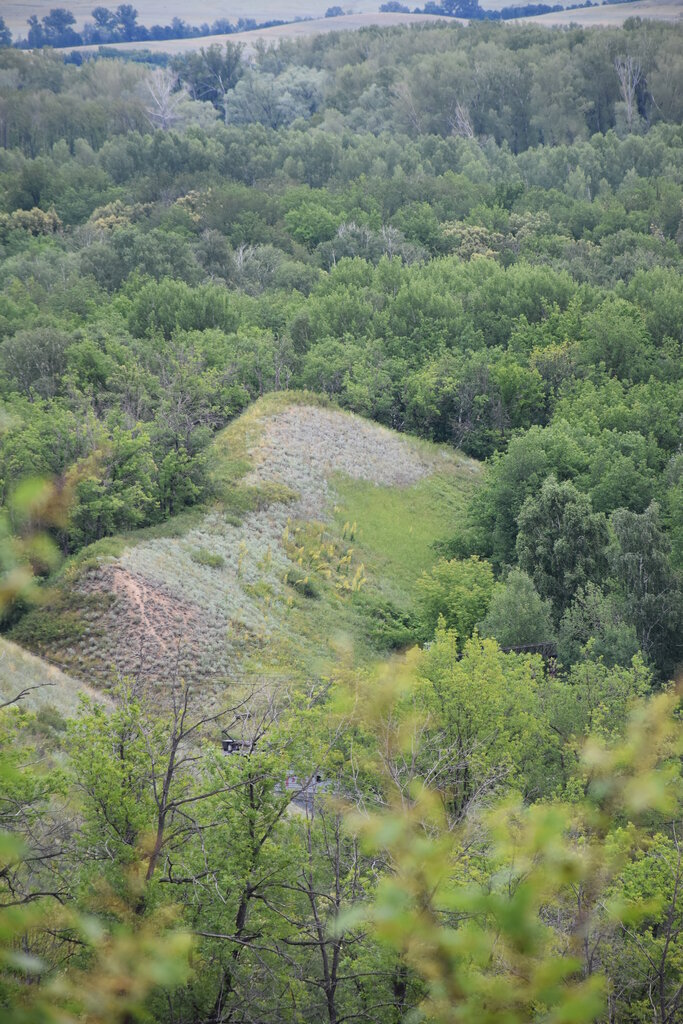 Dağ zirvesi Стог-гора, Orenburgskaya oblastı, foto