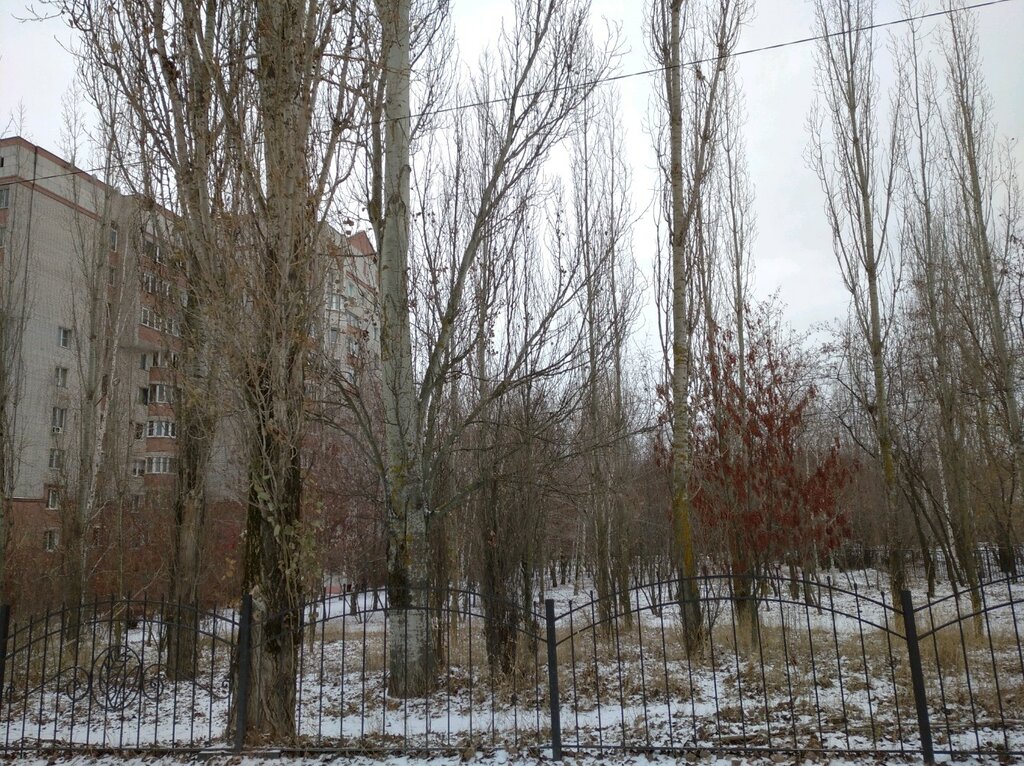 Kültür ve eğlence parkları Зоологический сквер, Voronej, foto