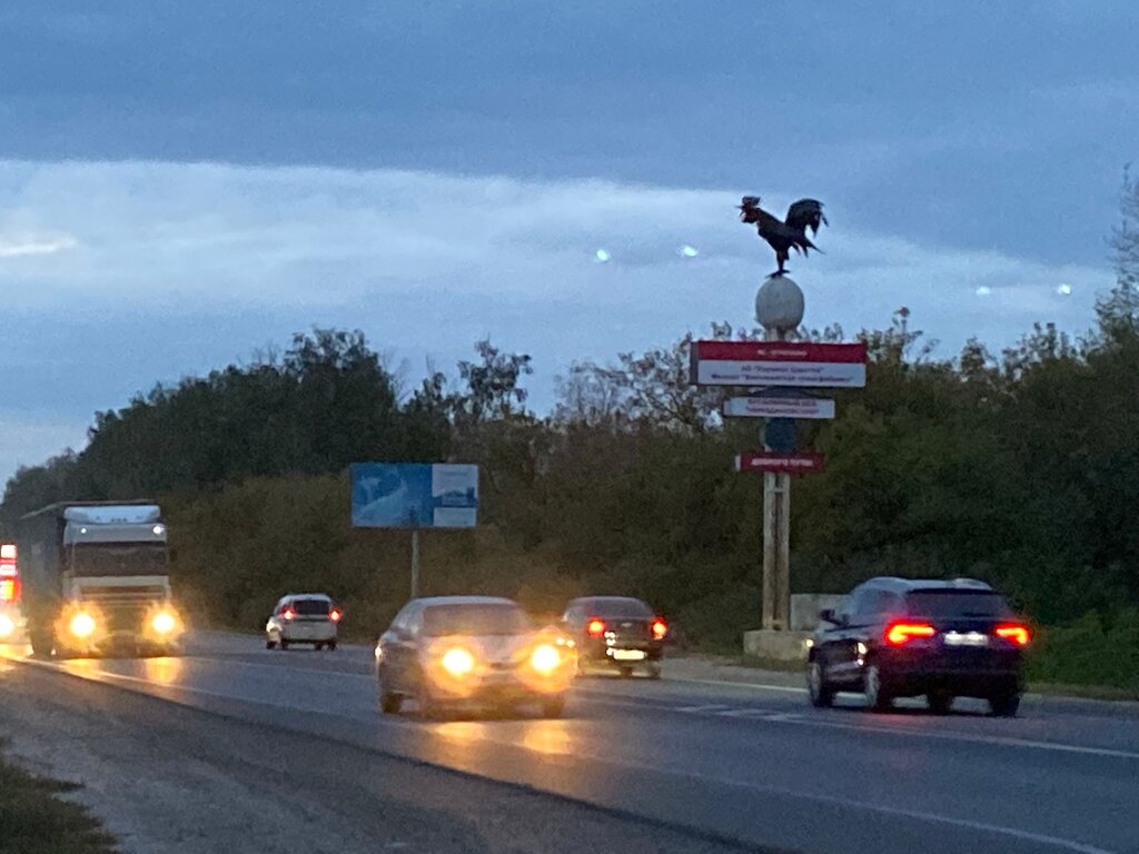 Park, sokak heykeli Петушок, Penzenskaya oblastı, foto