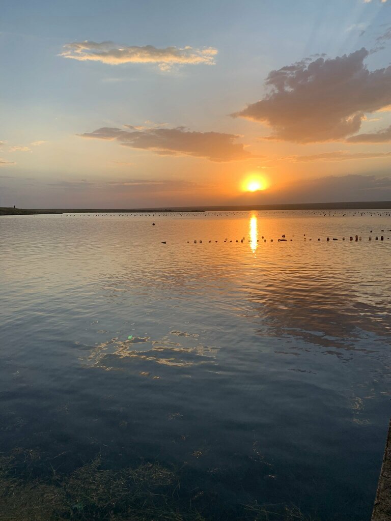 Balık ve deniz ürünleri Дары Донузлава, Kırım Cumhuriyeti, foto
