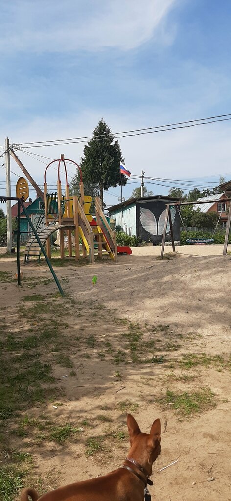 Oyun alanı Playground, Saint‑Petersburg ve Leningradskaya oblastı, foto