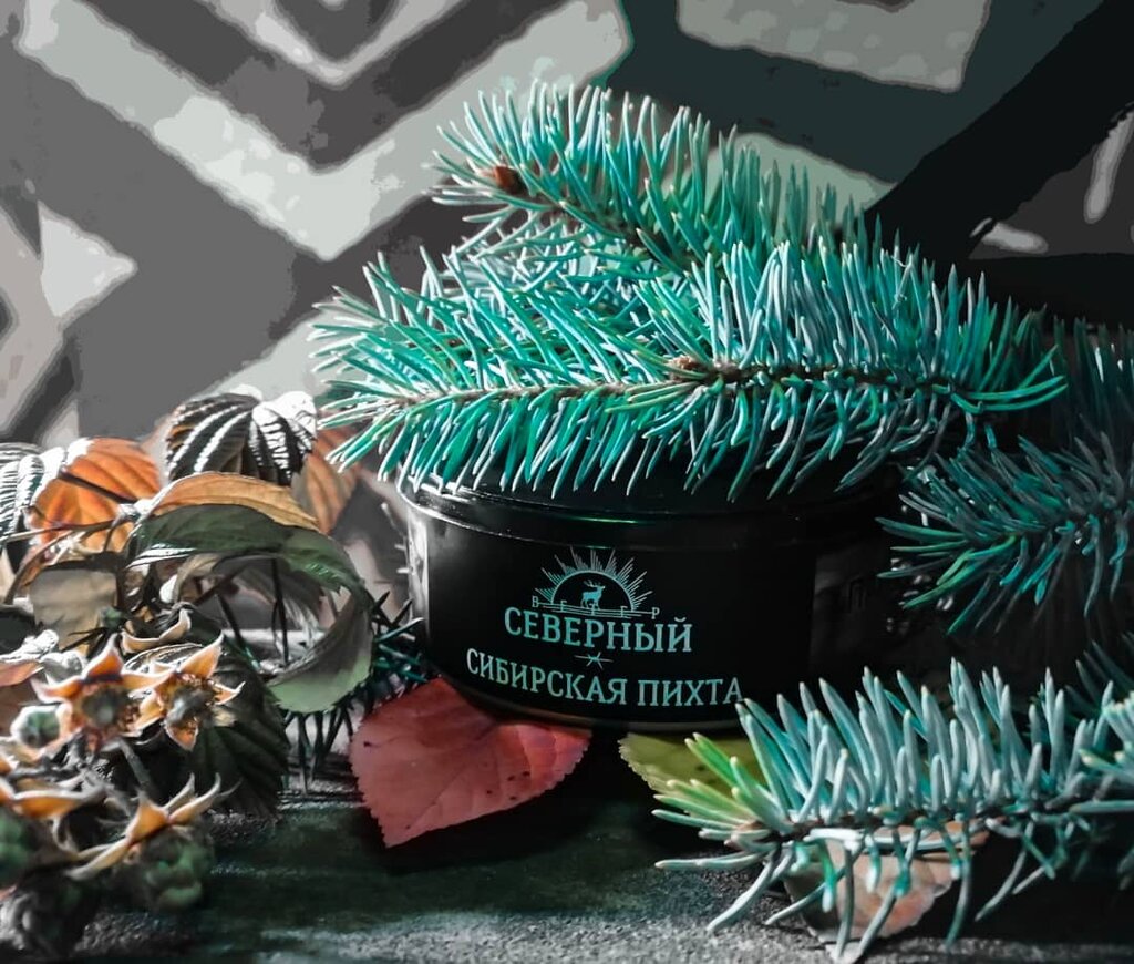 Nargile kafeler Shishak, Rostov, foto