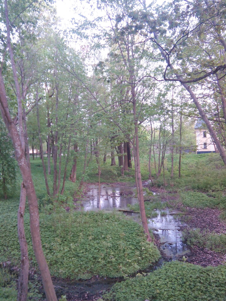 Kültür ve eğlence parkları Dachi Krona Garden, Peterhof, foto