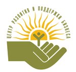 Tsentr razvitiya i podderzhki biznesa (Marshala Rybalko Street No:2к4), muhasebeciler  Moskova'dan