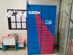 Ozon Box (ulitsa Kuprina No:8/1), parsel otomatı  Novosibirsk'ten